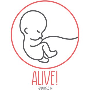 Alive! Pro-Life Collection | Celebrate Life with Faith-Filled Resources ...